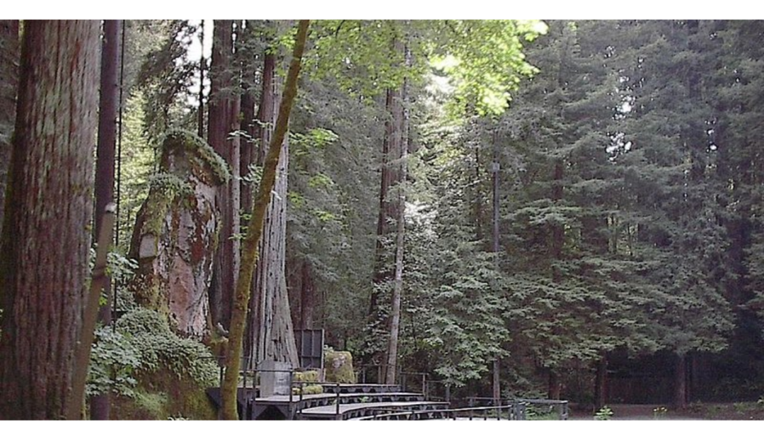 Uncovering the Mysteries of the Owl Shrine and Lake at Bohemian Grove ...