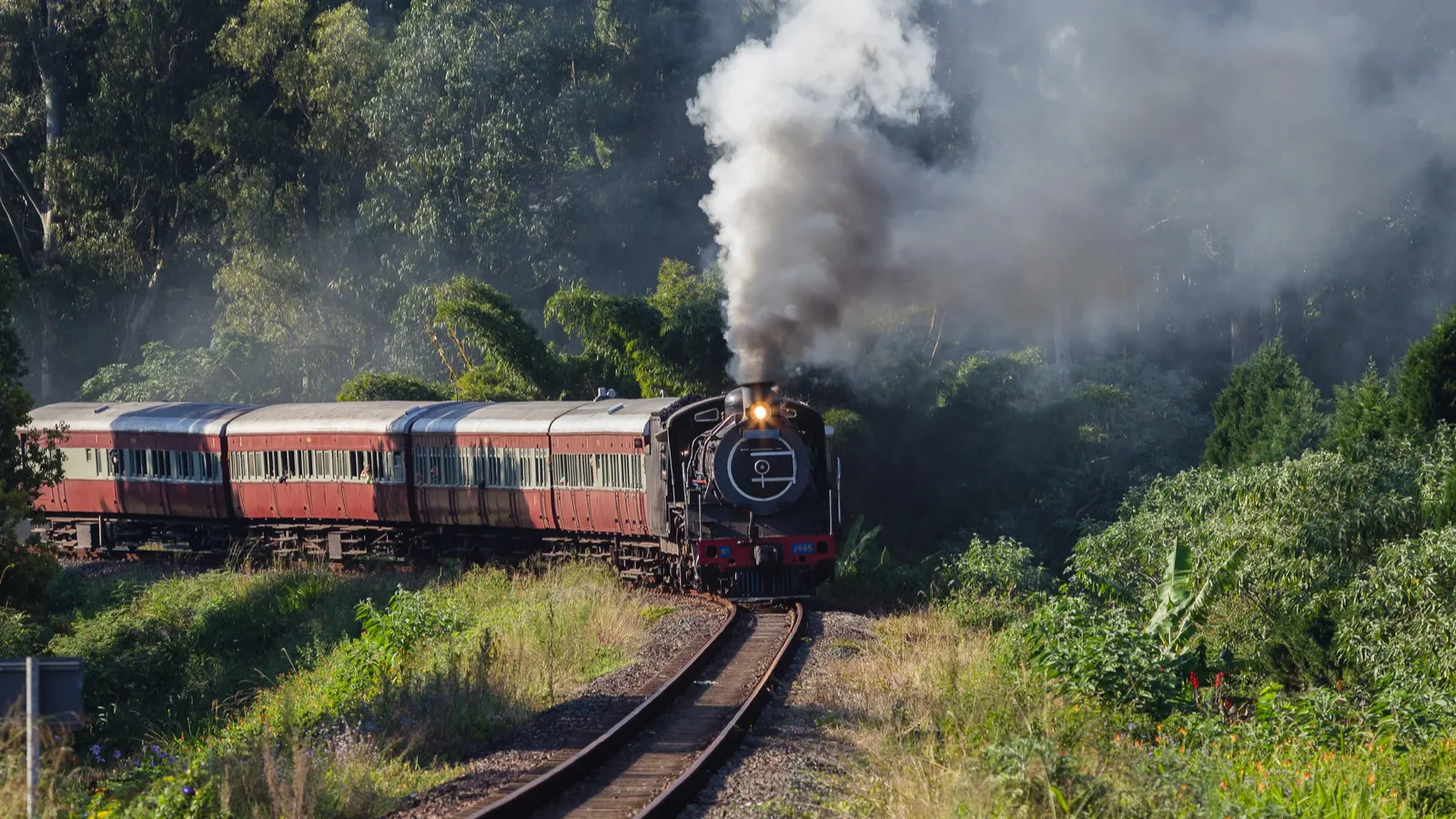 Hidden train routes in America that offer stunning views - Gearth Hacks